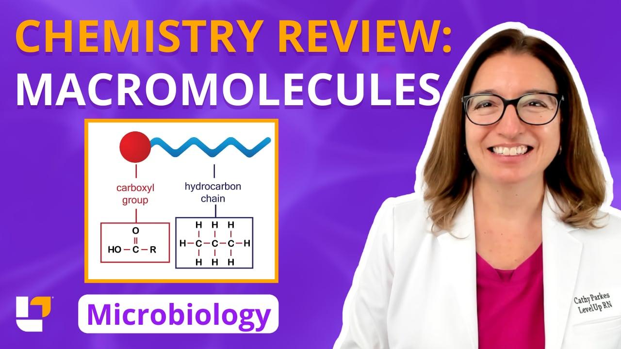 Macromolecules: Proteins, carbs, lipids, nucleic acids - Microbiology
