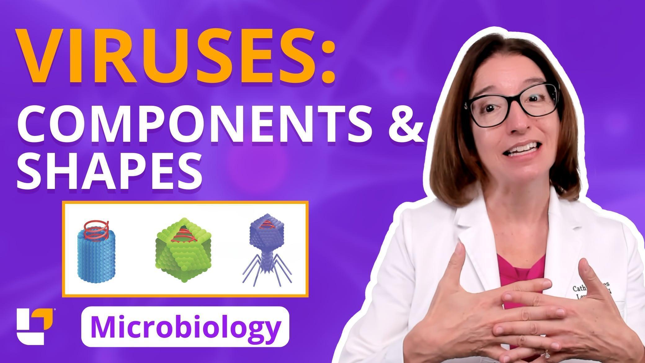 Viruses: Components & Shapes | Microbiology exam prep – LevelUpRN