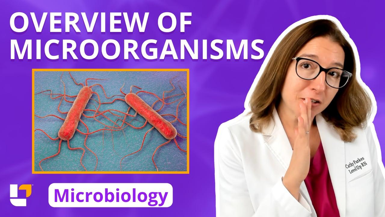 Overview of Microorganisms - Microbiology Foundations – LevelUpRN
