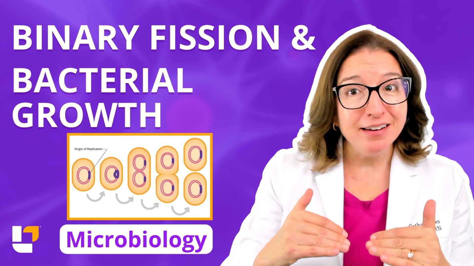 Growth - Binary Fission & Bacterial Growth - Microbiology