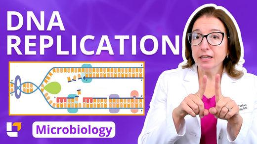 Microbiology, part 33: Genetics - DNA Replication – LevelUpRN