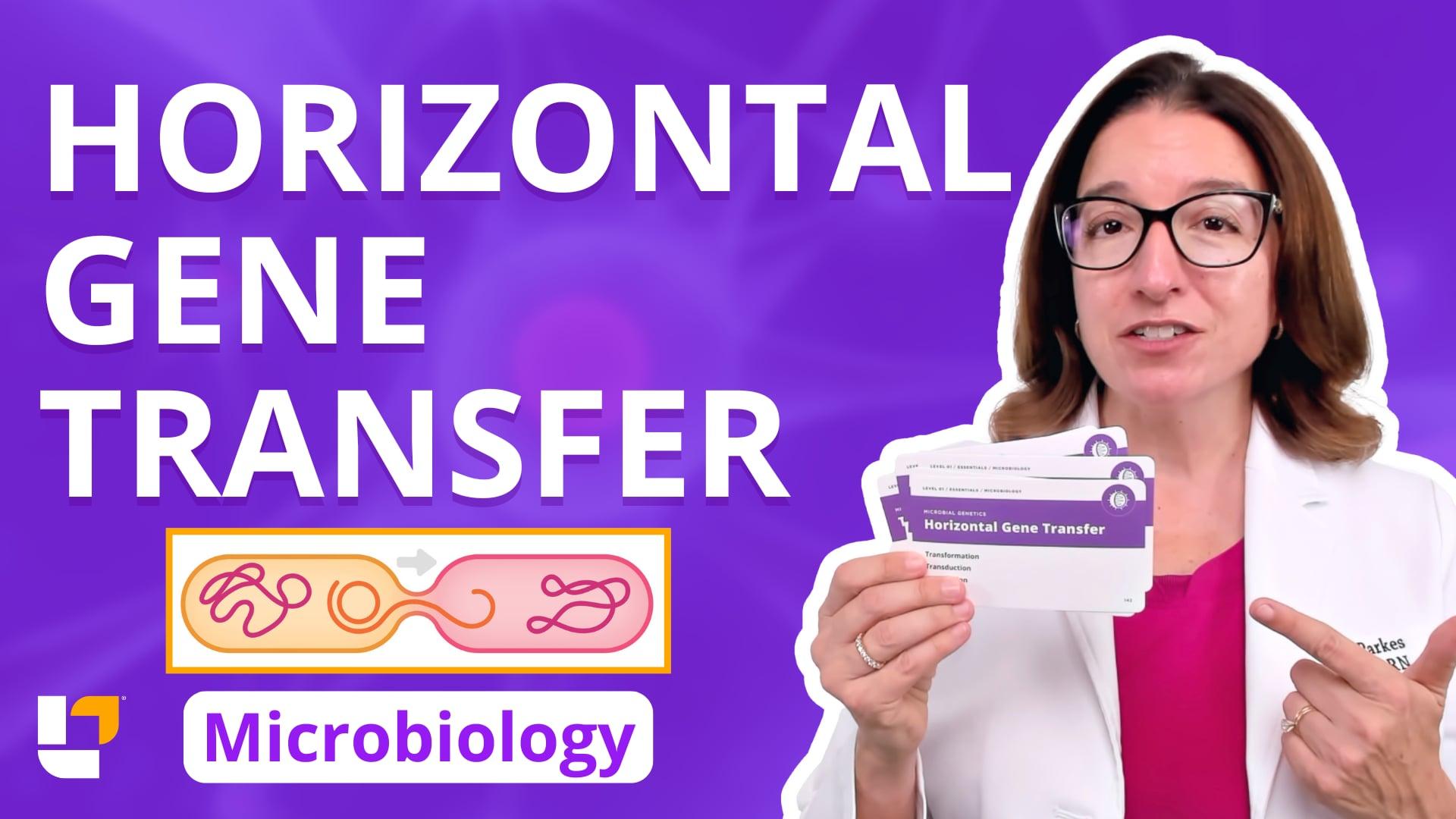 Genetics - Horizontal Gene Transfer – LevelUpRN