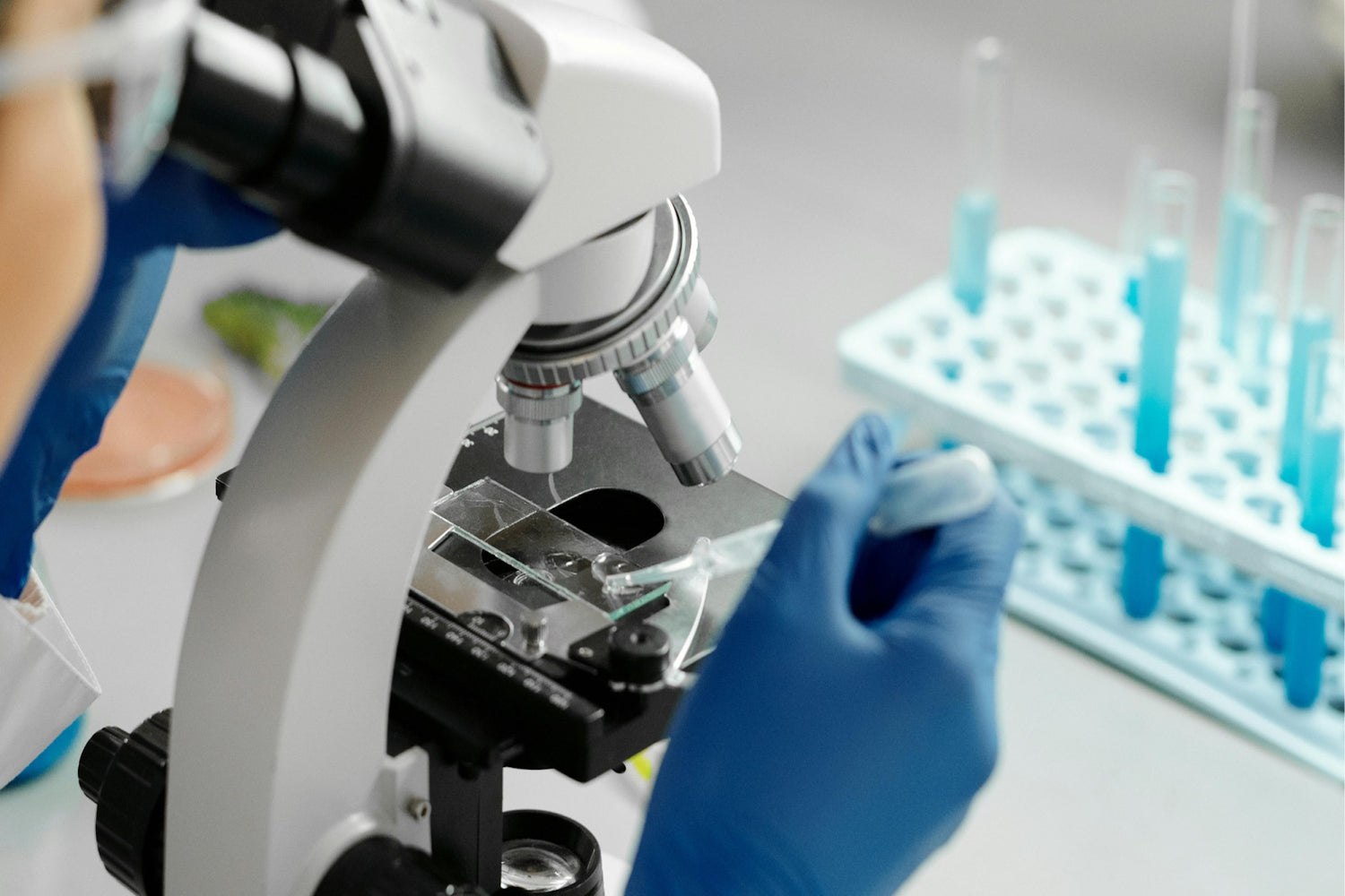 Microbiology resources for pre-nursing students – LevelUpRN